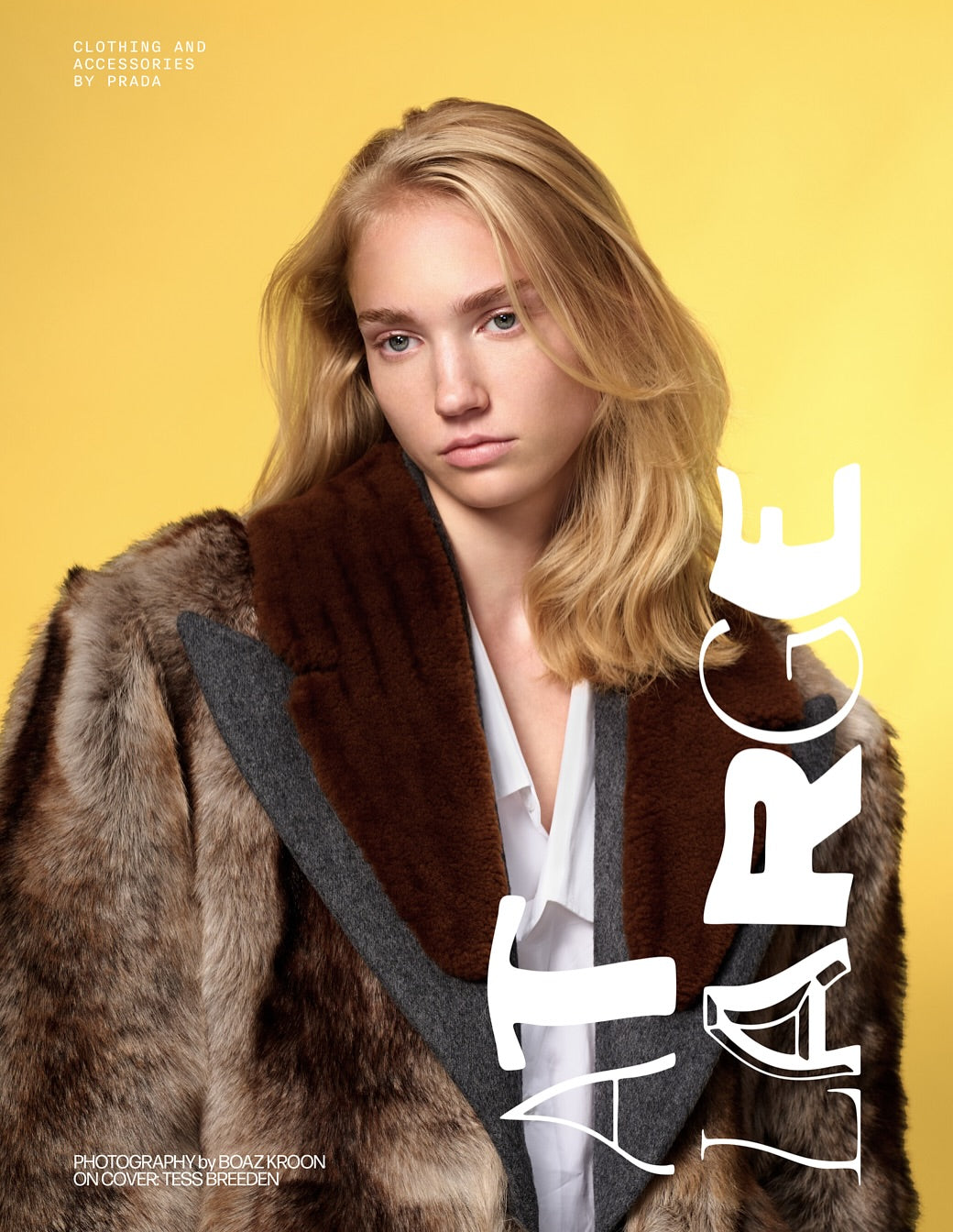 At Large Issue 24 Magazine – Charlotte Street Magazines